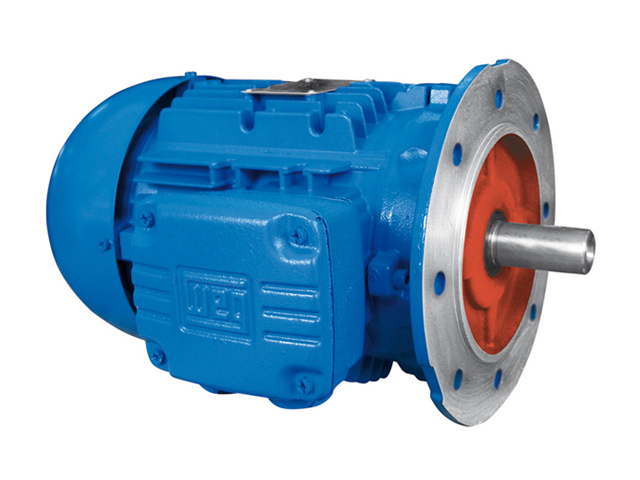 Motores Eléctricos con Brida Weg - Arequipa, Moquegua, Ilo, Tacna...